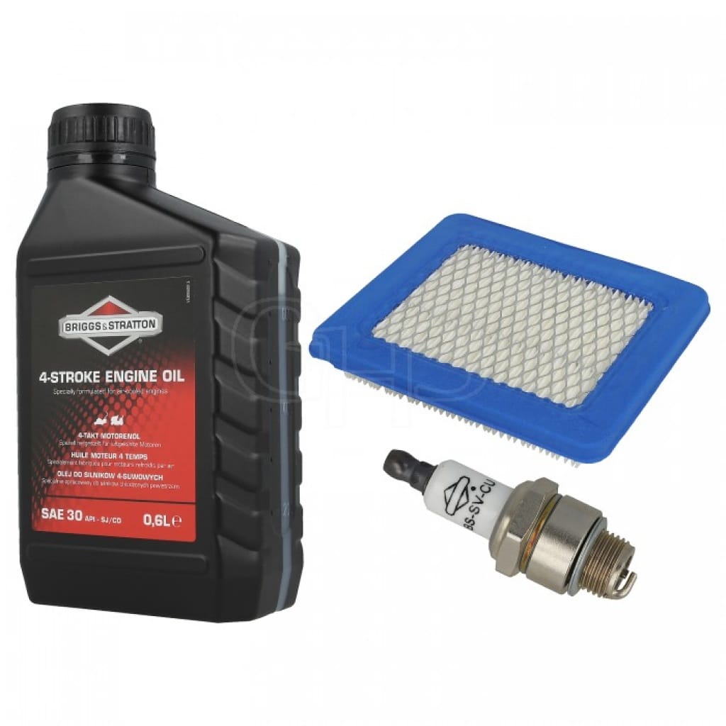 Genuine Briggs & Stratton Quantum Service Kit (Oil, Filter, Plug) - RD ...